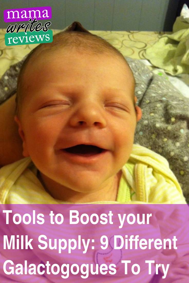 Tools to Boost your Milk Supply: 9 Different Galactogogues To Try ...