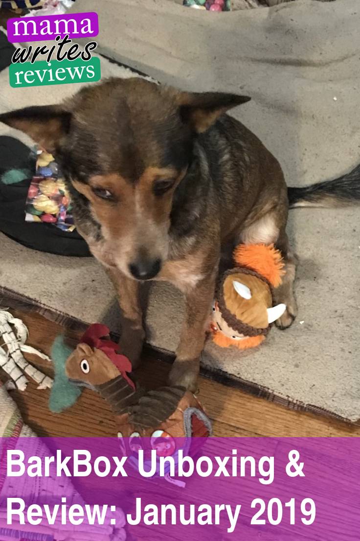 BarkBox Unboxing & Review: January 2019 | Mama Writes Reviews